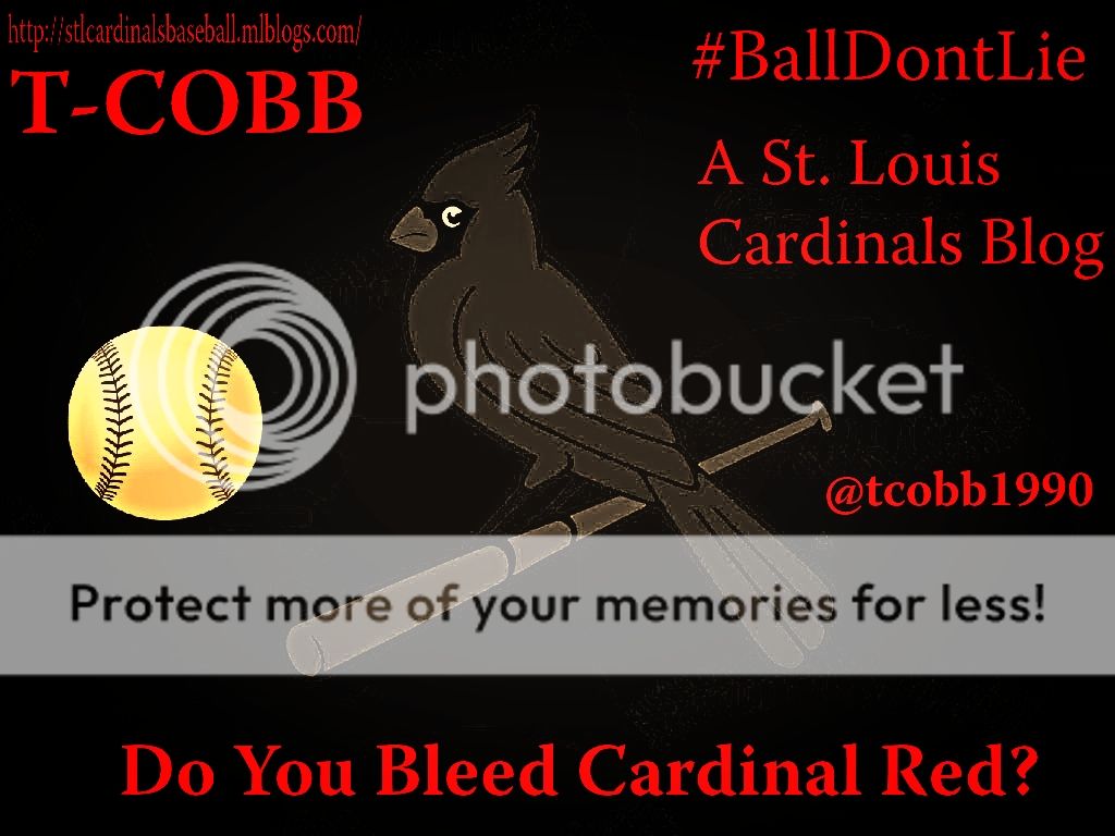 Meeting the Writer — Tyler Cobb | Ball Don't Lie - A St. Louis ...