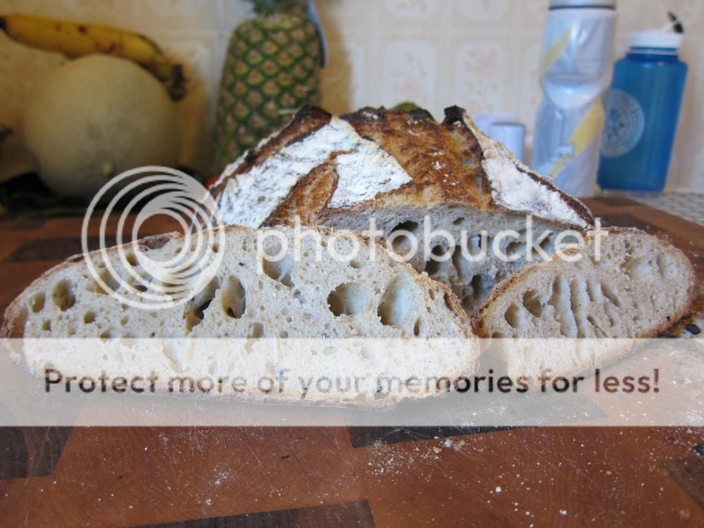 Oven spring | Stella Culinary