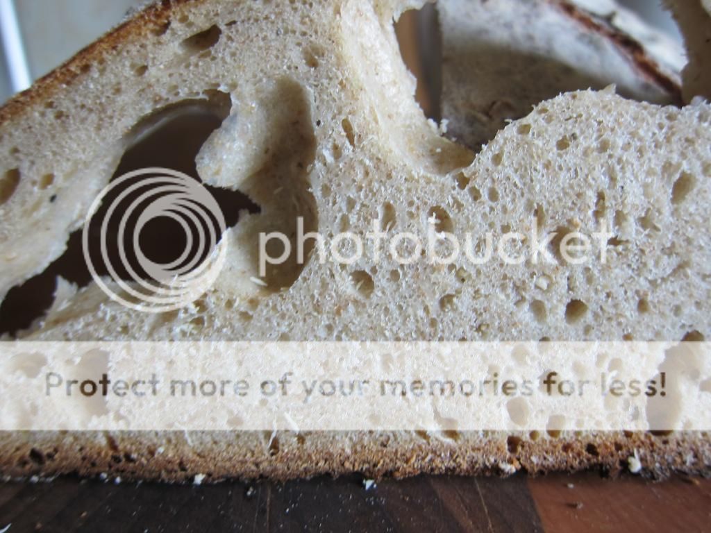 Oven spring | Stella Culinary